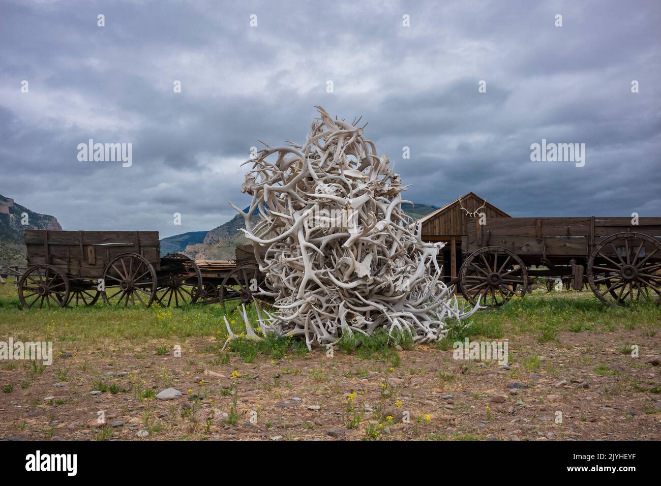 A pile of deer antlers rests in the remnants of an old town from the ...