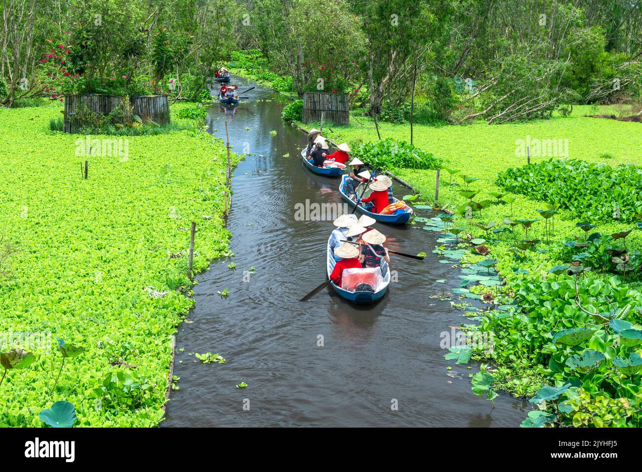 Tra su indigo forest hi-res stock photography and images - Alamy