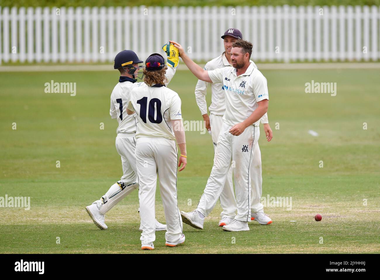 Victoria celebrates the wicket of Aaron Hardie of Western Australia ...