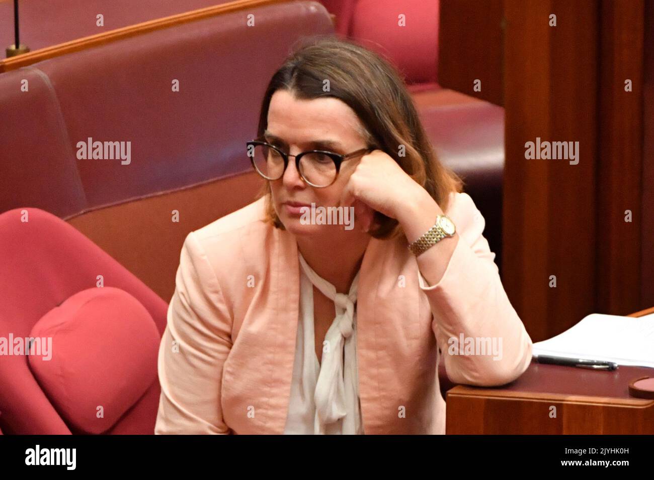 Minister for Families Anne Ruston in the Senate chamber at Parliament ...
