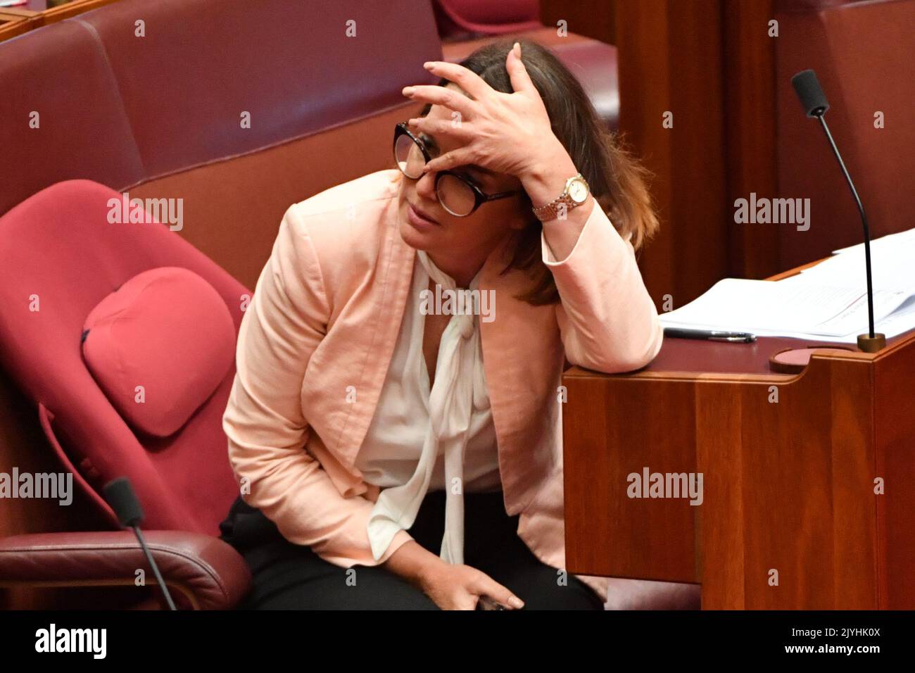 Minister for Families Anne Ruston in the Senate chamber at Parliament ...