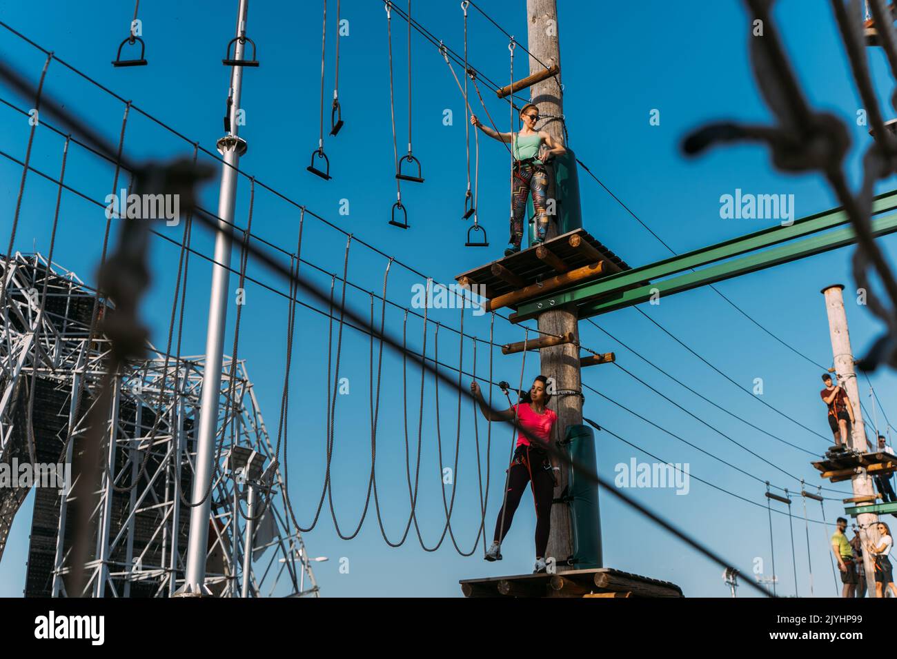 Group of climbers doing the courses in the adventure park with ease Stock Photo - Alamy