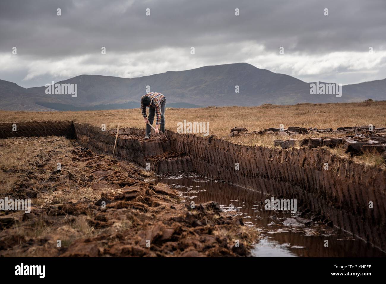 A turf cutter in the middle of the extensive peat bog on the edge of ...