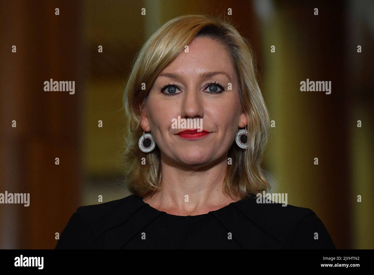 Greens Senator Larissa Waters at a press conference at Parliament House ...