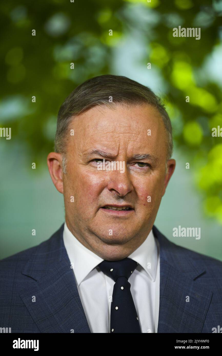 Australian Opposition Leader Anthony Albanese speaks during a press ...