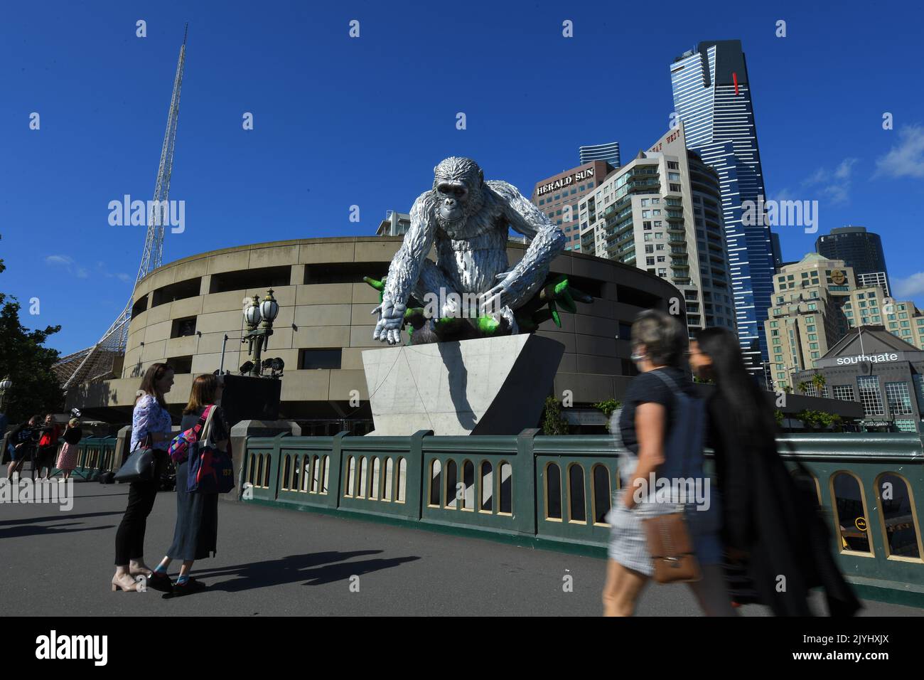 People observe a large-scale sculpture of chimpanzee David Greybeard ...