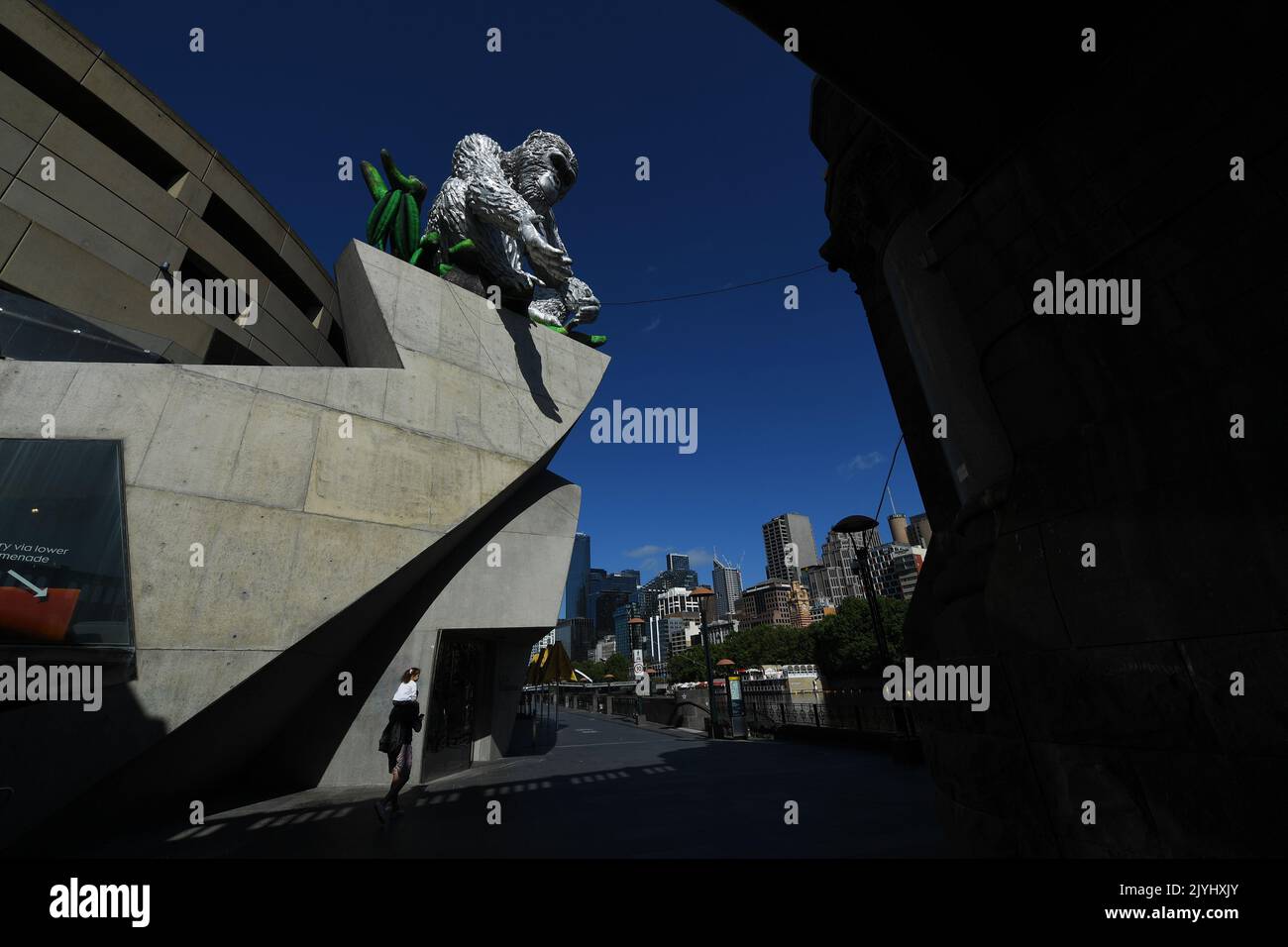 General view of a large-scale sculpture of chimpanzee David Greybeard ...