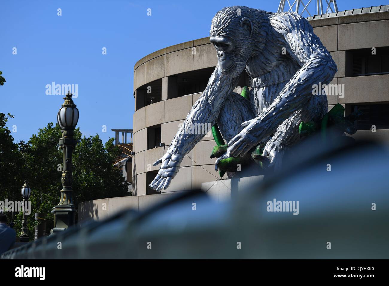 General view of a large-scale sculpture of chimpanzee David Greybeard ...