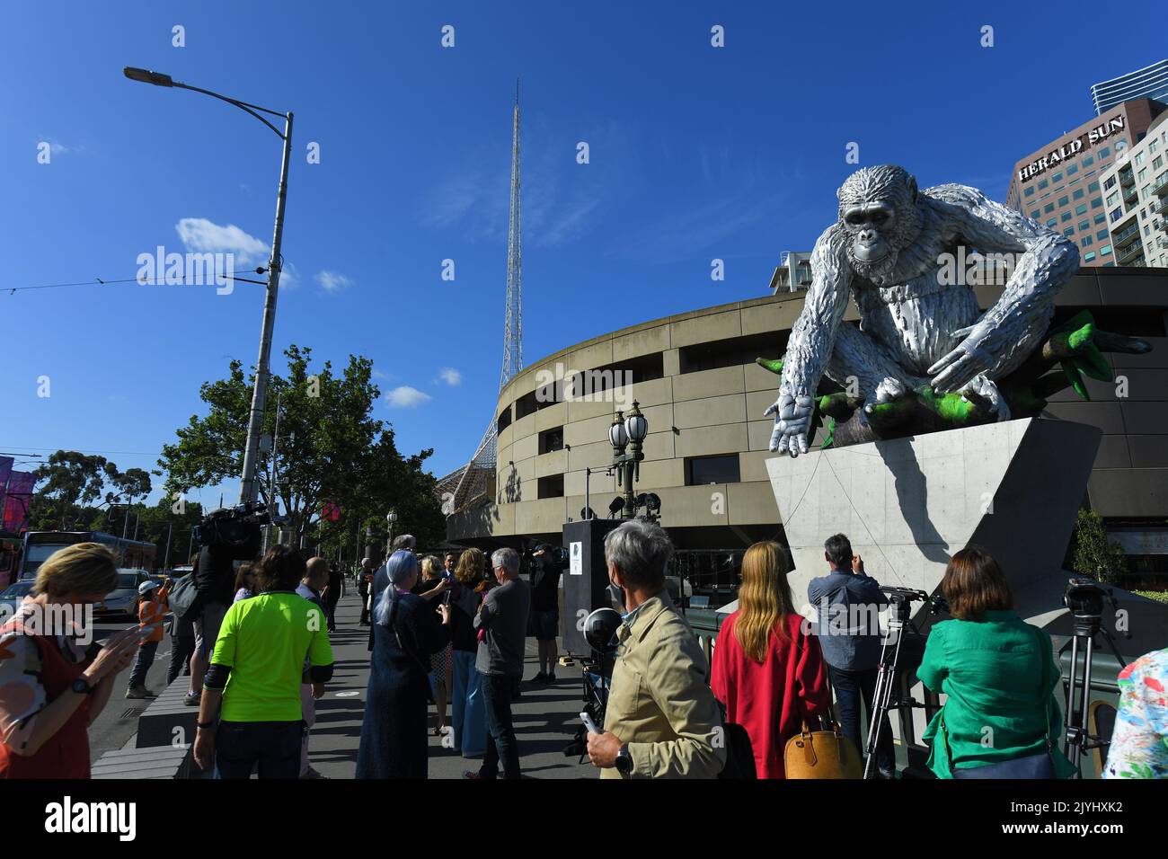 People observe a large-scale sculpture of chimpanzee David Greybeard ...