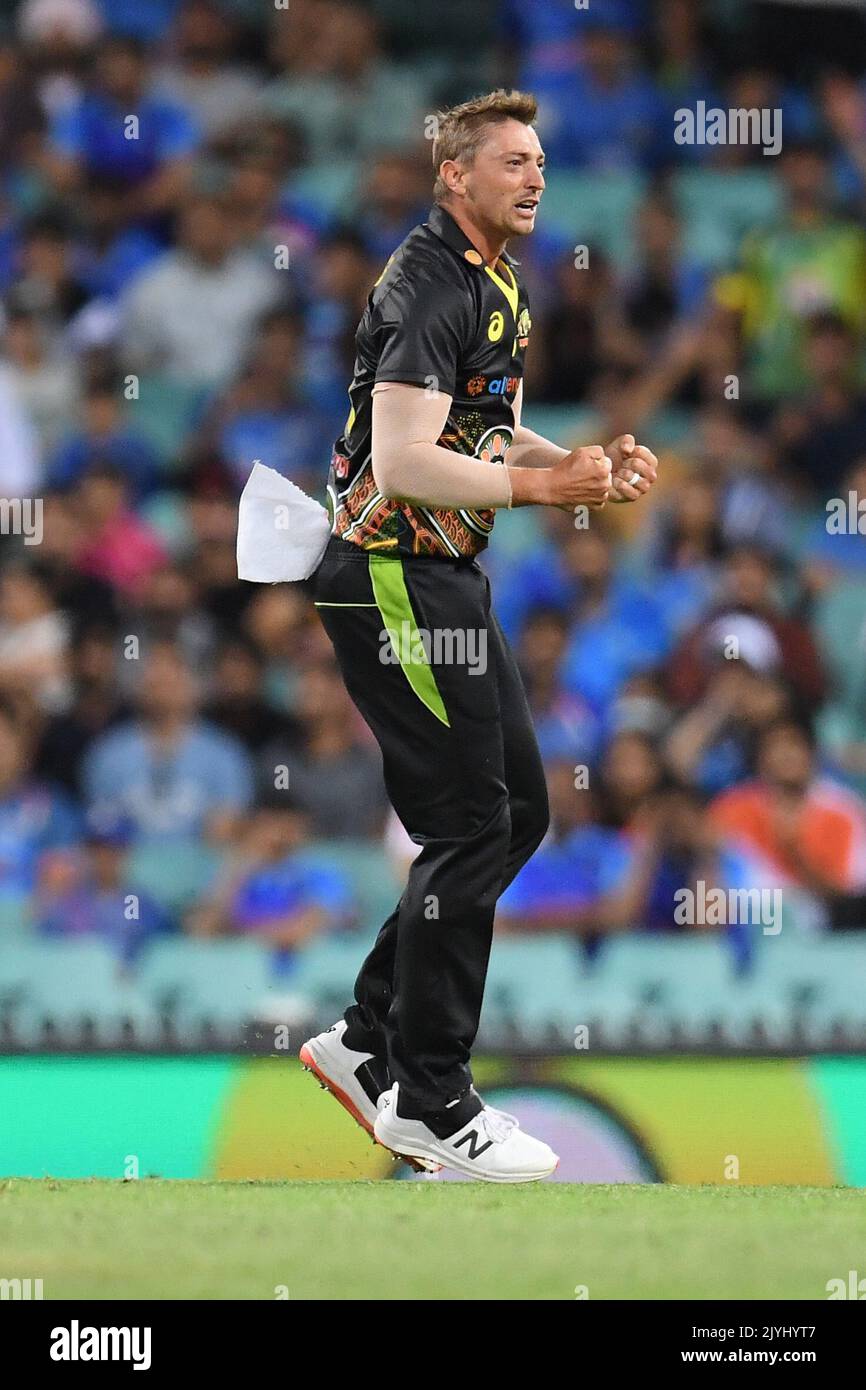 Daniel Sams of Australia celebrates taking the wicket of Virat Kohli of ...