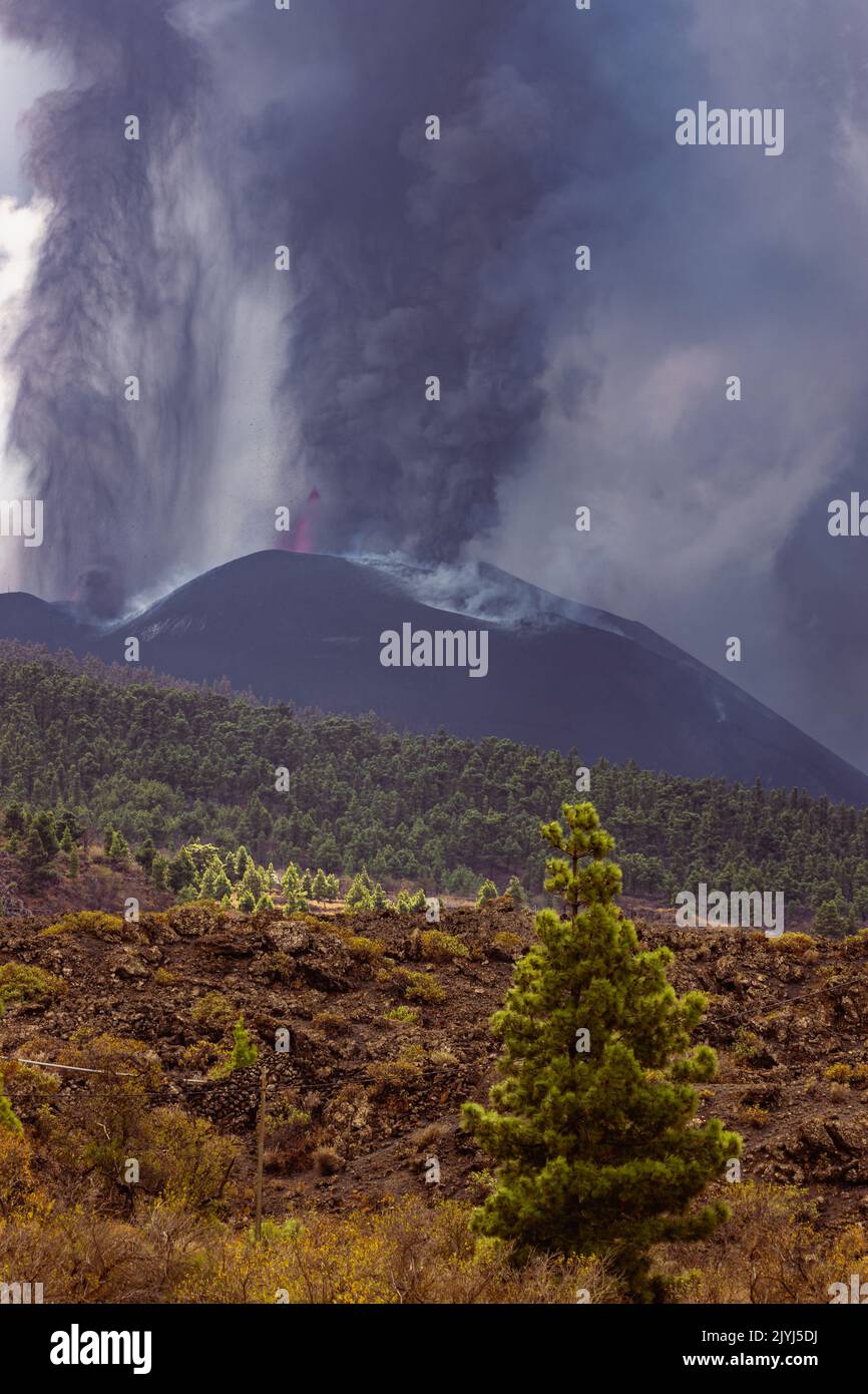 The volcanic eruption of La Palma began on September 19 of 2021 in the ...