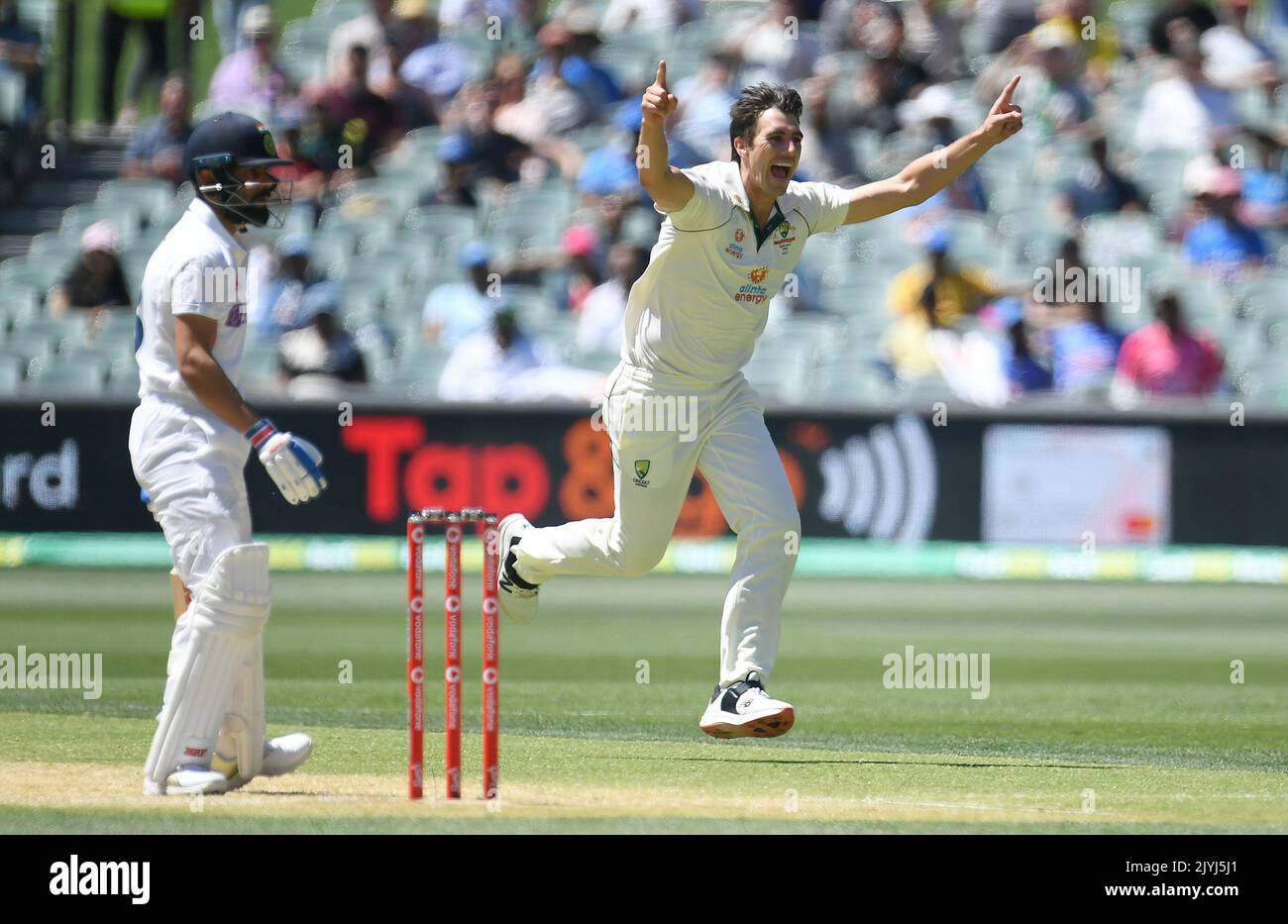 Australian bowler Pat Cummins reacts after dismissing Indian captain ...