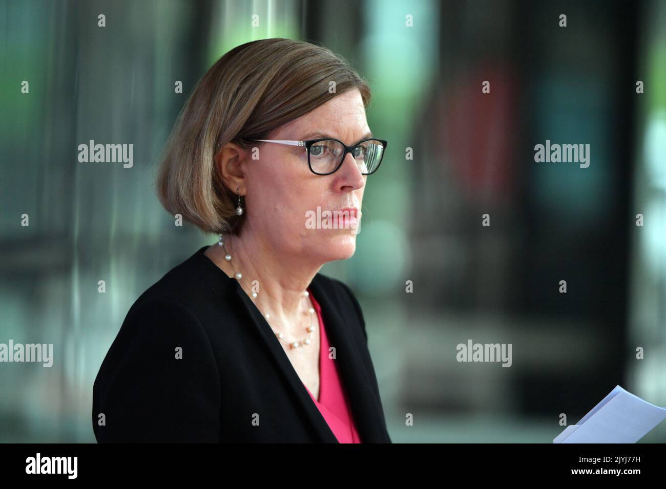 NSW Chief Health Officer Dr Kerry Chant provides a COVID-19 update at a ...