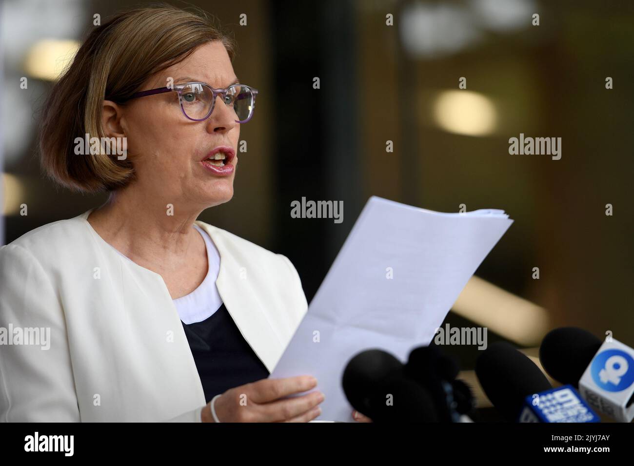 NSW Chief Health Officer Dr Kerry Chant addresses media during a COVID ...