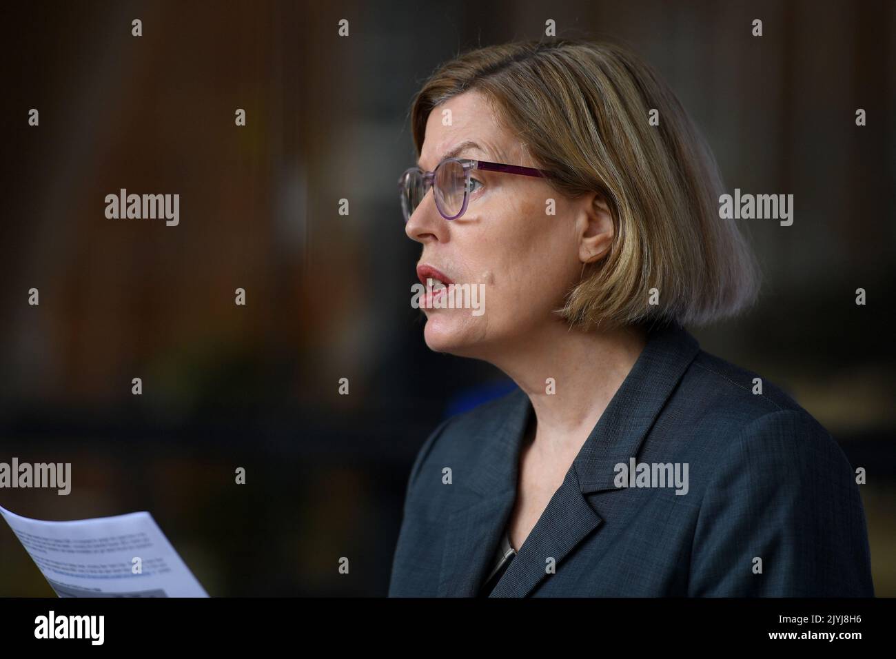 NSW Chief Health Officer Dr Kerry Chant provides a COVID-19 update ...