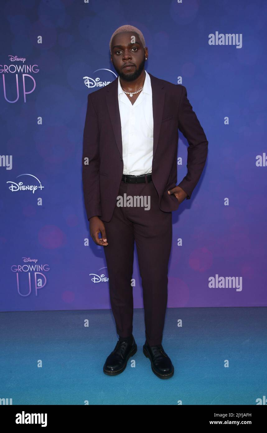 Amiri nash hi-res stock photography and images - Alamy