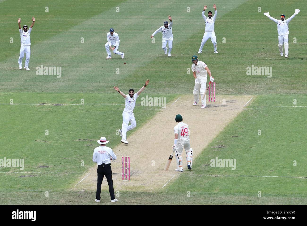 Jasprit Bumrah of India celebrates after taking the LBW wicket of ...