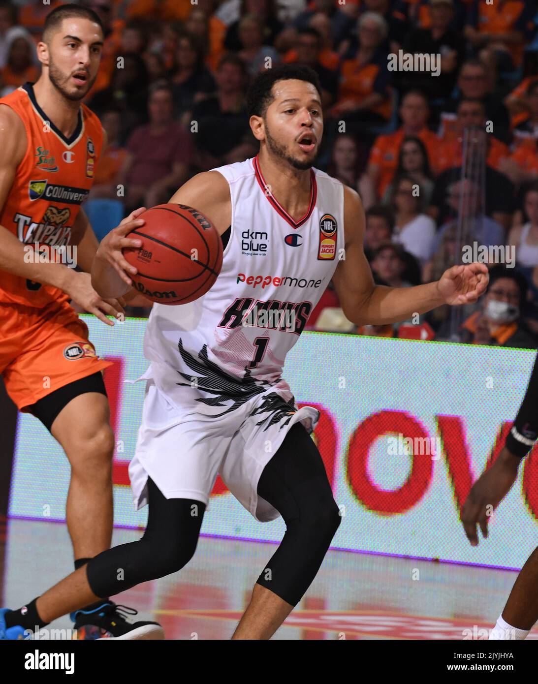 Tyler Harvey of the Hawks during the round 1 NBL match between the ...