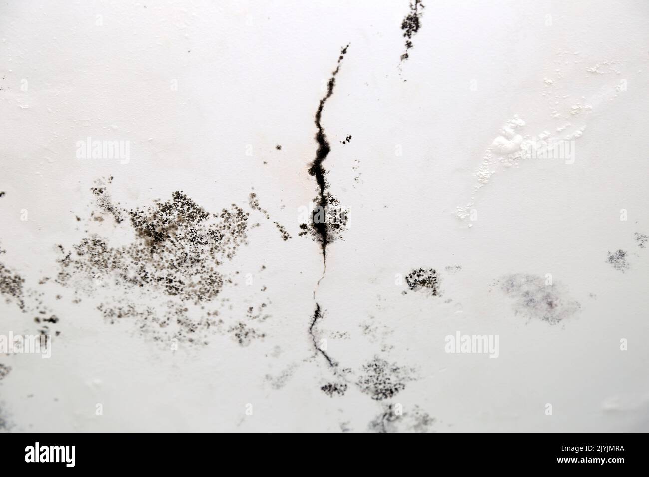 infiltration of water, mold and cracks in the wall and white roof of ...