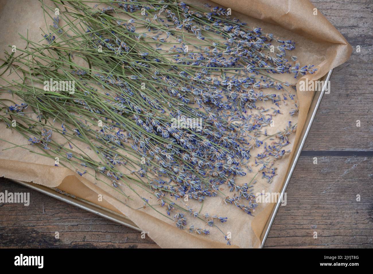 Drying lavender hi-res stock photography and images - Alamy