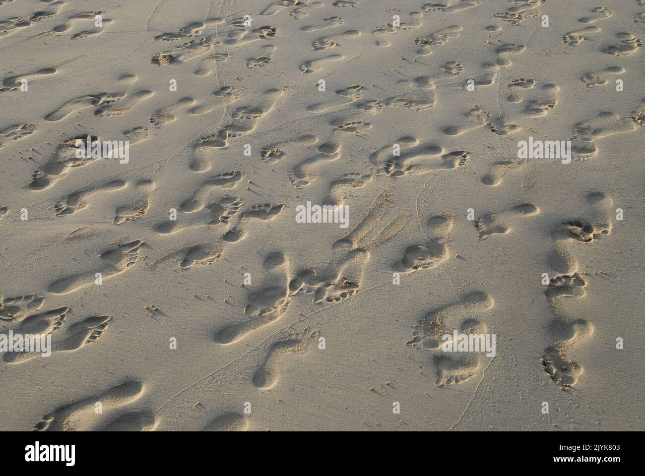 Close up of lots of footprints in the sand beach Stock Photo - Alamy