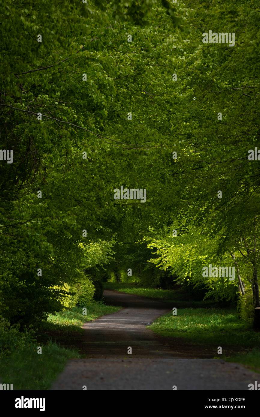 Pathway of light pathway of light hi-res stock photography and images - Alamy