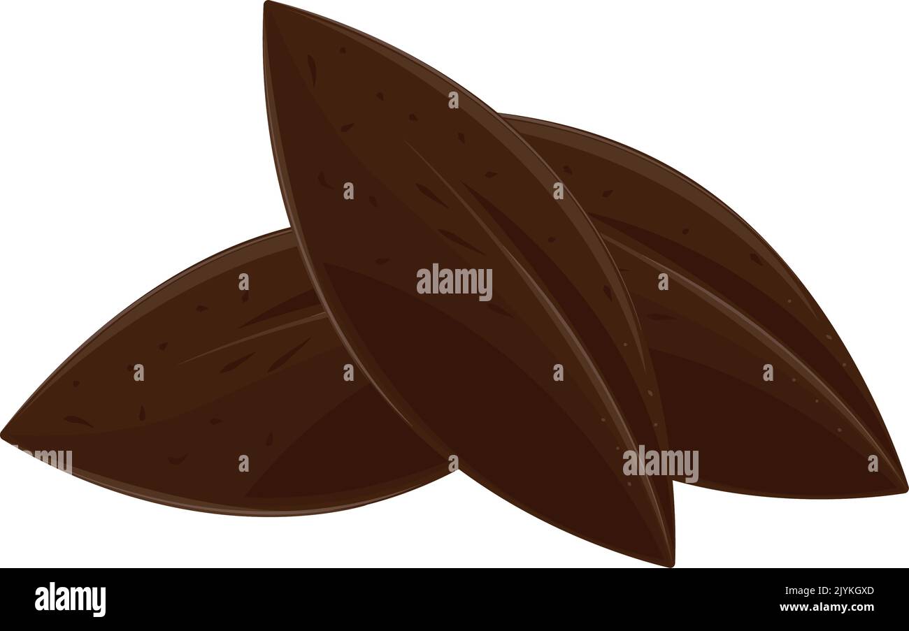 cacao seeds icon Stock Vector Image & Art - Alamy