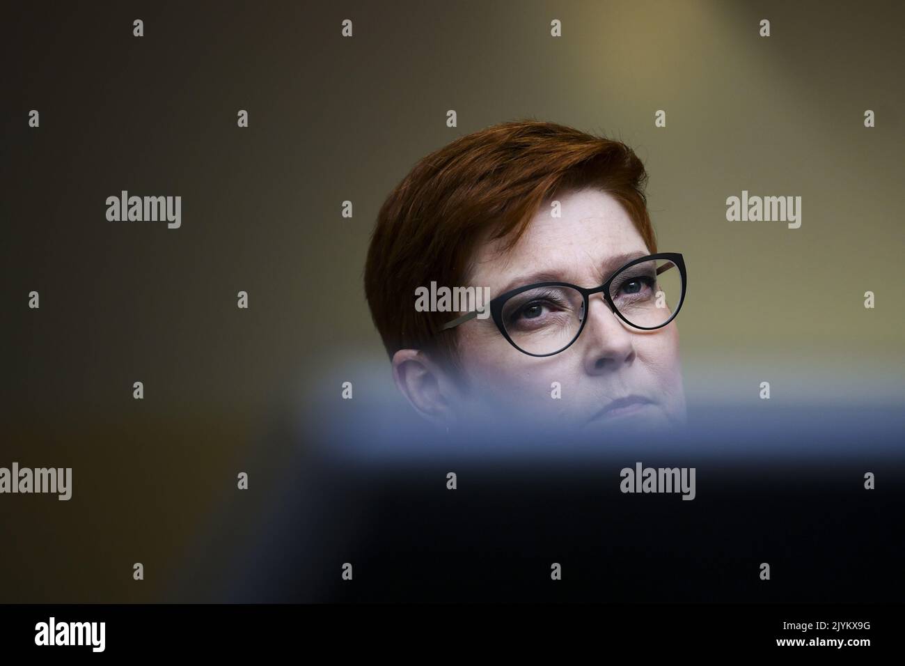 Australian Foreign Minister Marine Payne speaks to the media during a ...