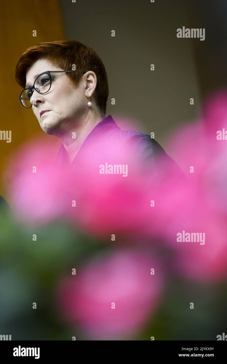 Australian Foreign Minister Marine Payne speaks to the media during a ...