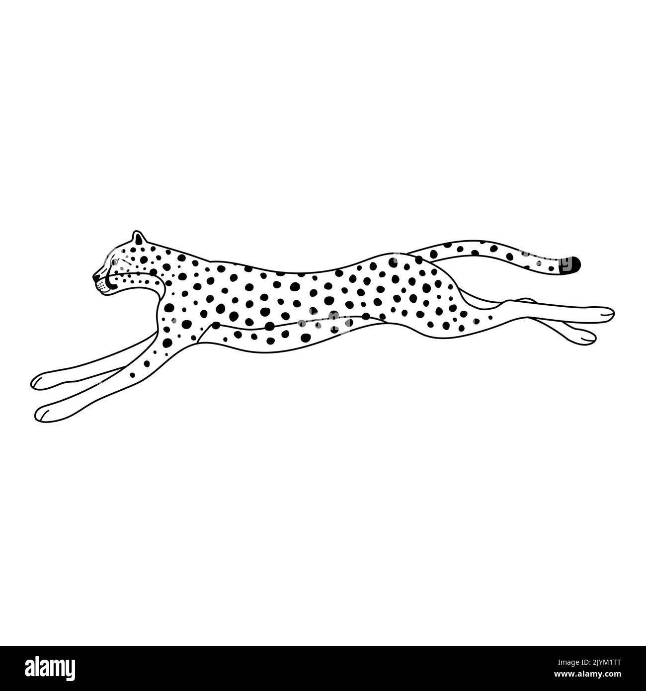 Vector flat jumping outline cheetah isolated on white background Stock ...