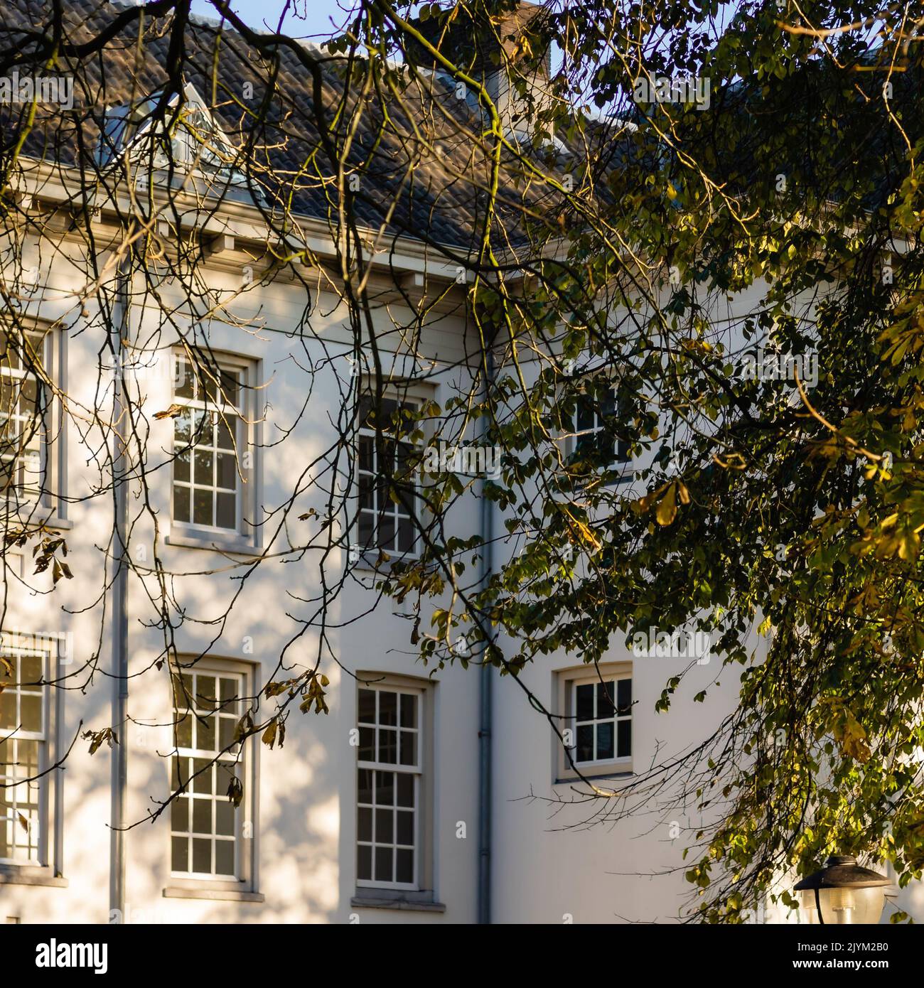 Autumn sun on old tree and historic veteran hospital Stock Photo - Alamy