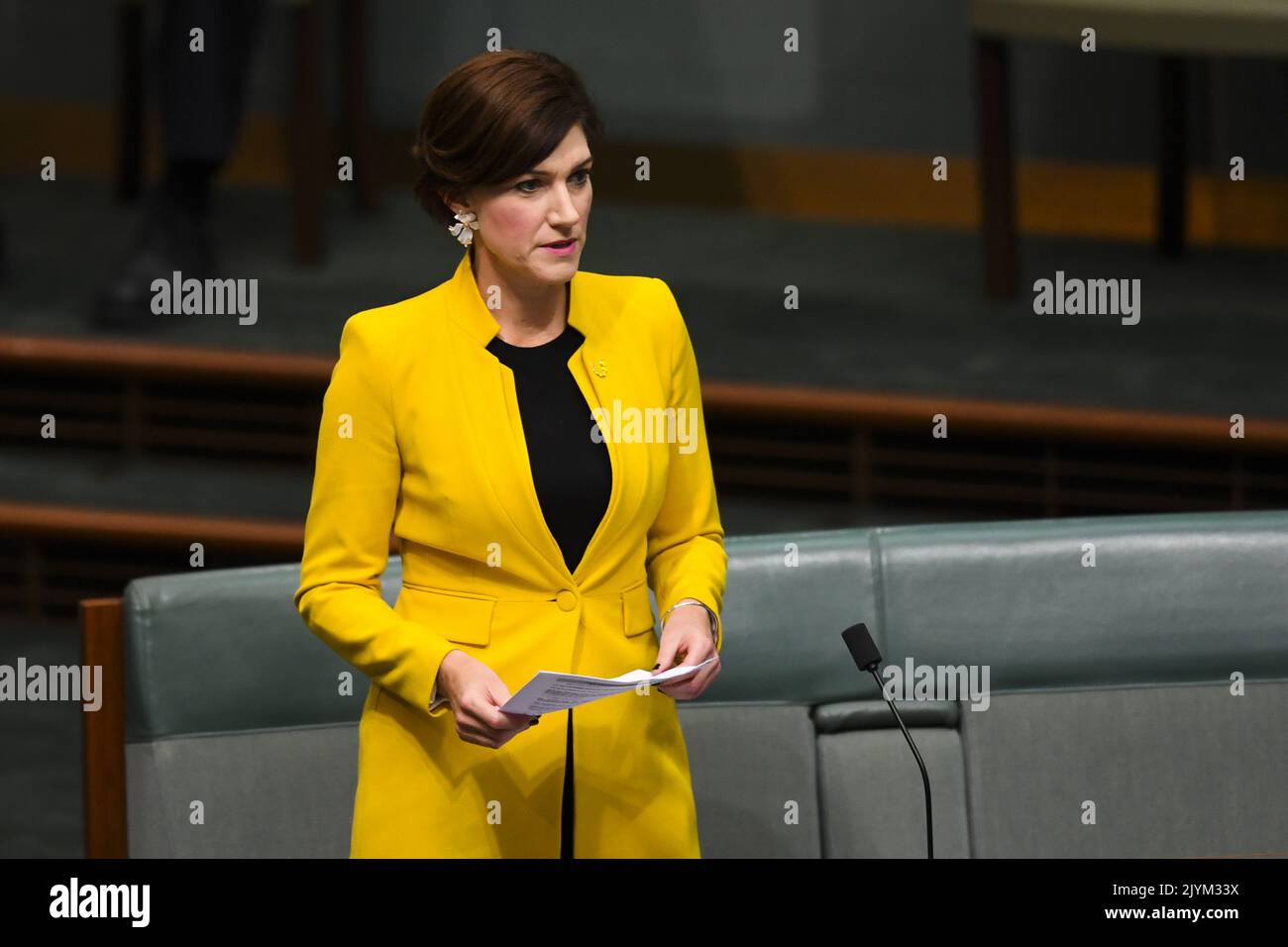 Liberal MP Nicolle Flint reacts during House of Representatives ...