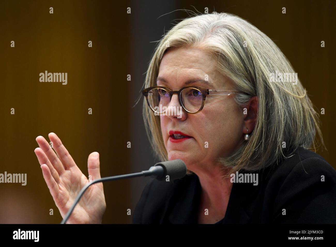 Deputy Chair of the Australian Securities and Investments Commission ...