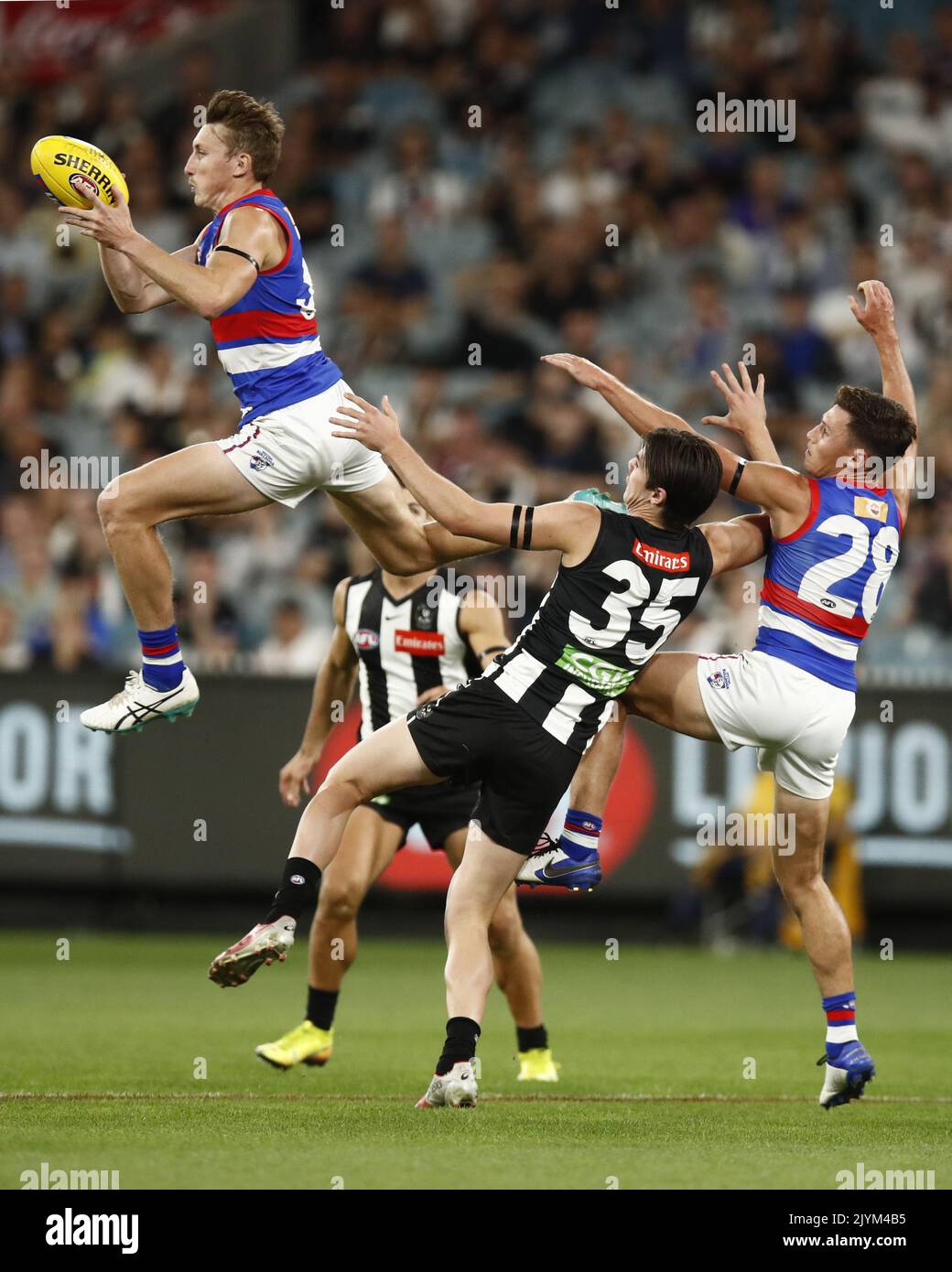 Bailey Dale of the Bulldogs marks the ball during the Round 1 AFL match ...