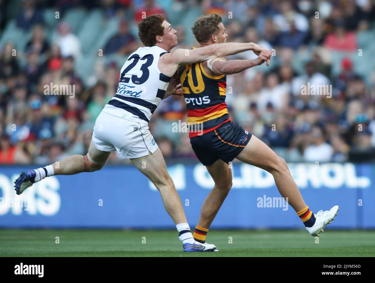 Mitchell Hinge of the Crows clashes with Gary Rohan of the Cats and ...
