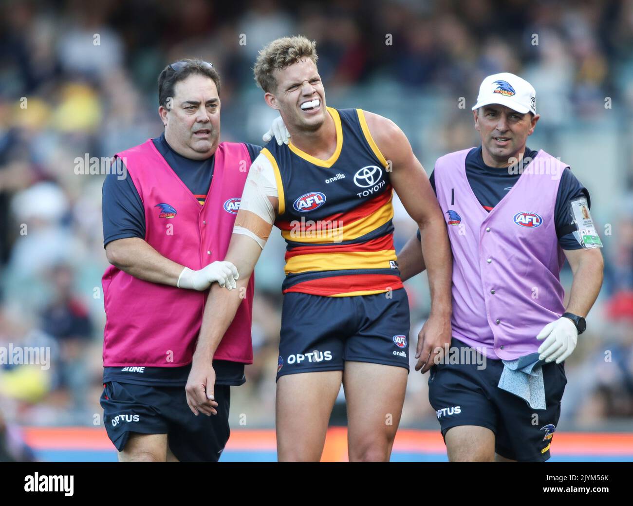 Mitchell Hinge of the Crows appears to have dislocated his shoulder ...