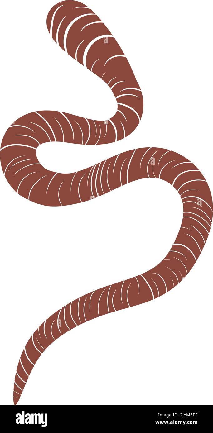 Brown Earthworm Vector Illustration from top angle Stock Vector Image ...