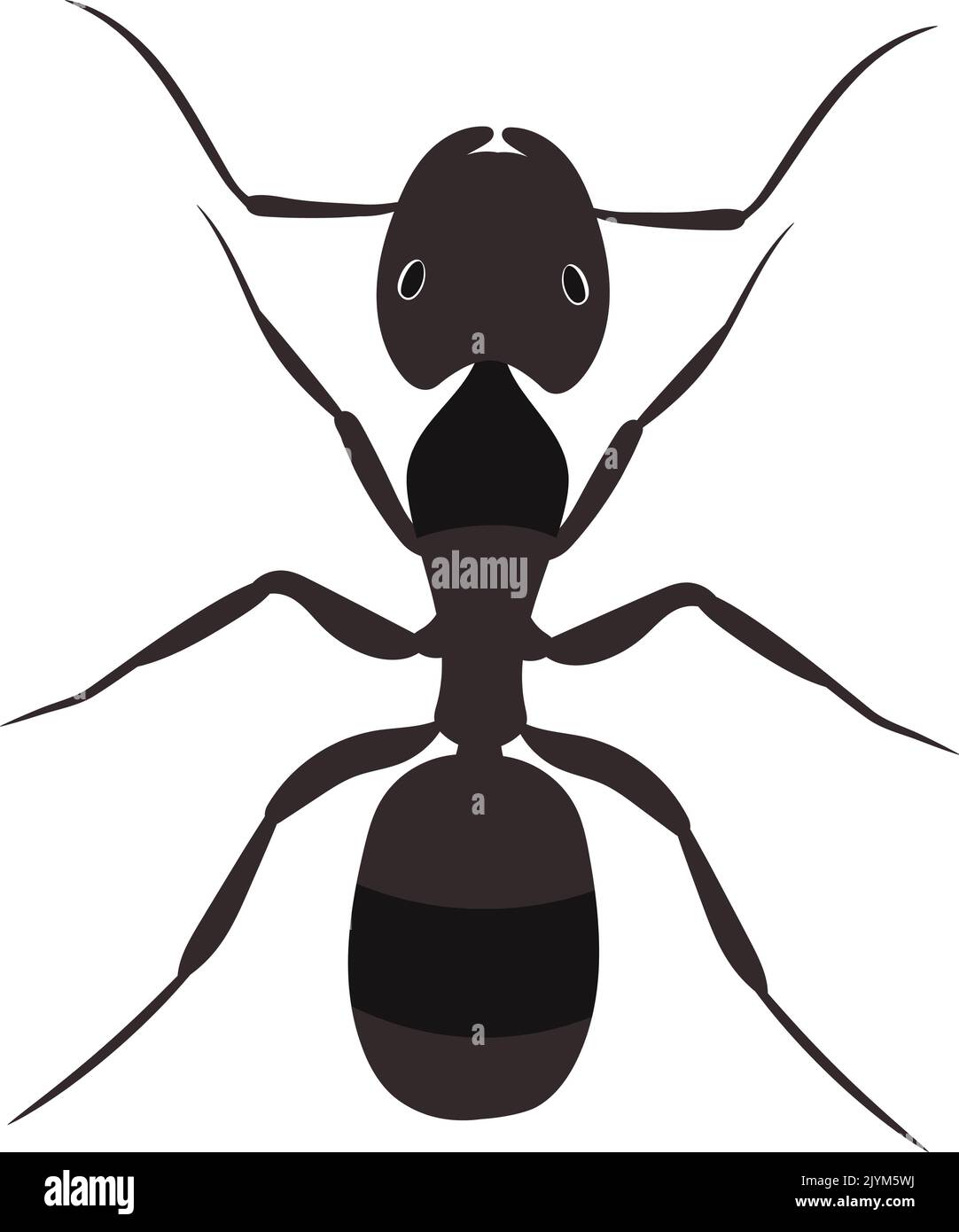 Black Ant Vector Illustration from top view Stock Vector Image & Art ...