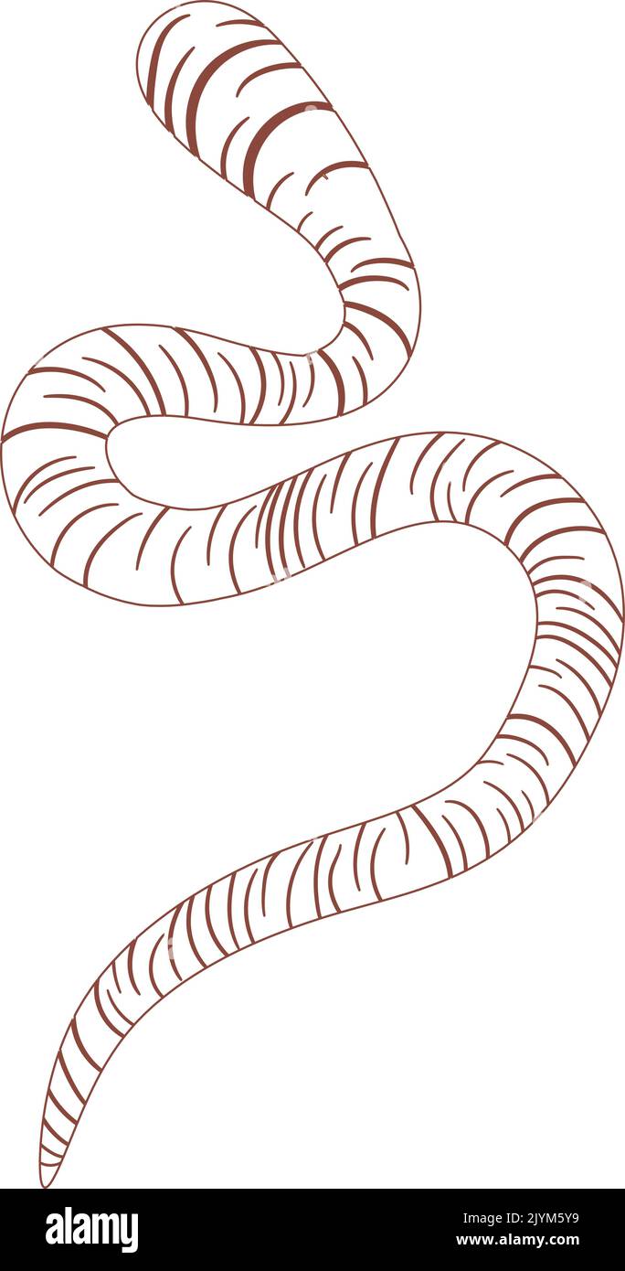 Earthworm Drawing