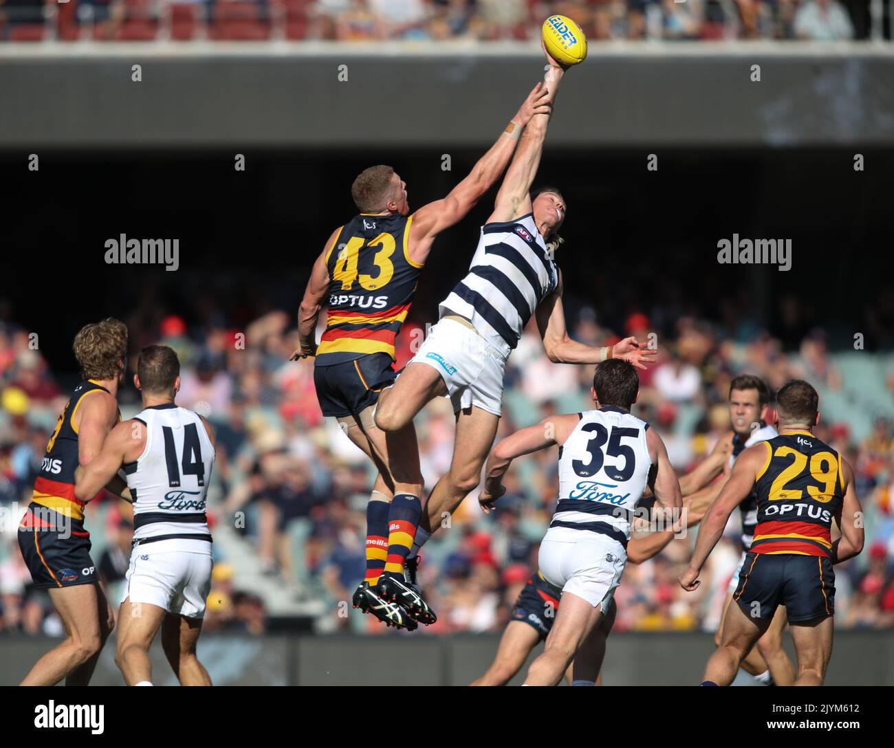 Reilly O'Brien of the Crows and Mark Blicavs of the Cats compete in a ...
