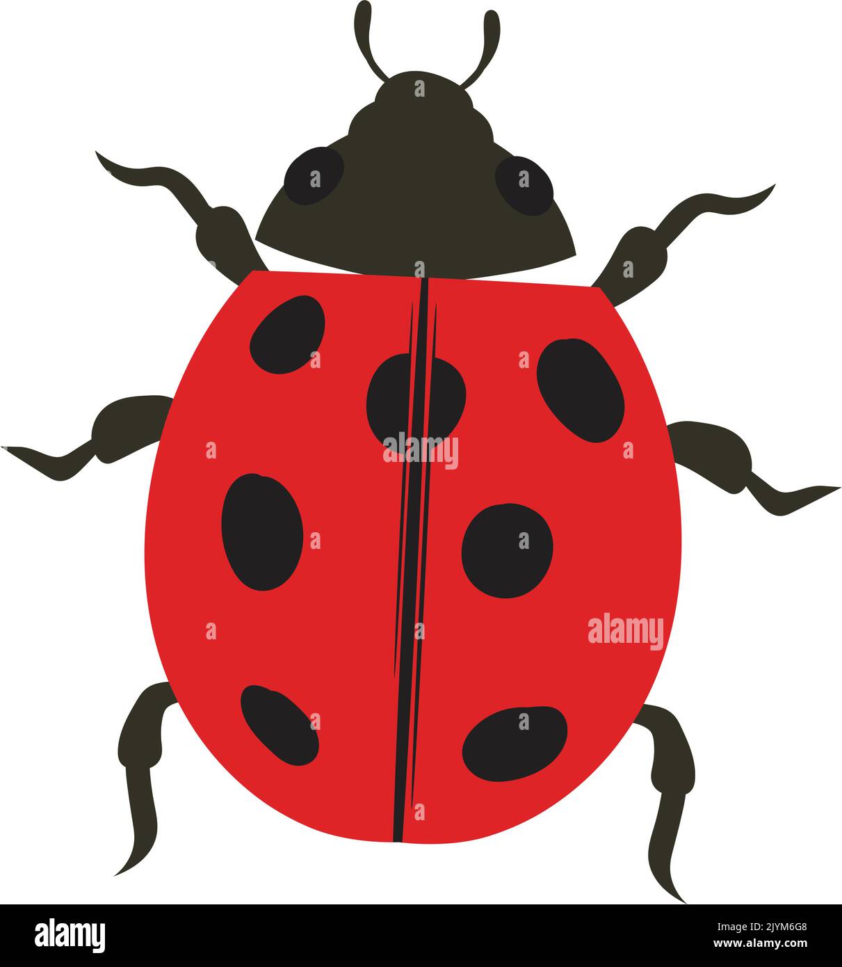 Ladybug beetle ladybird Illustration 2d flat colors Isolated on White ...