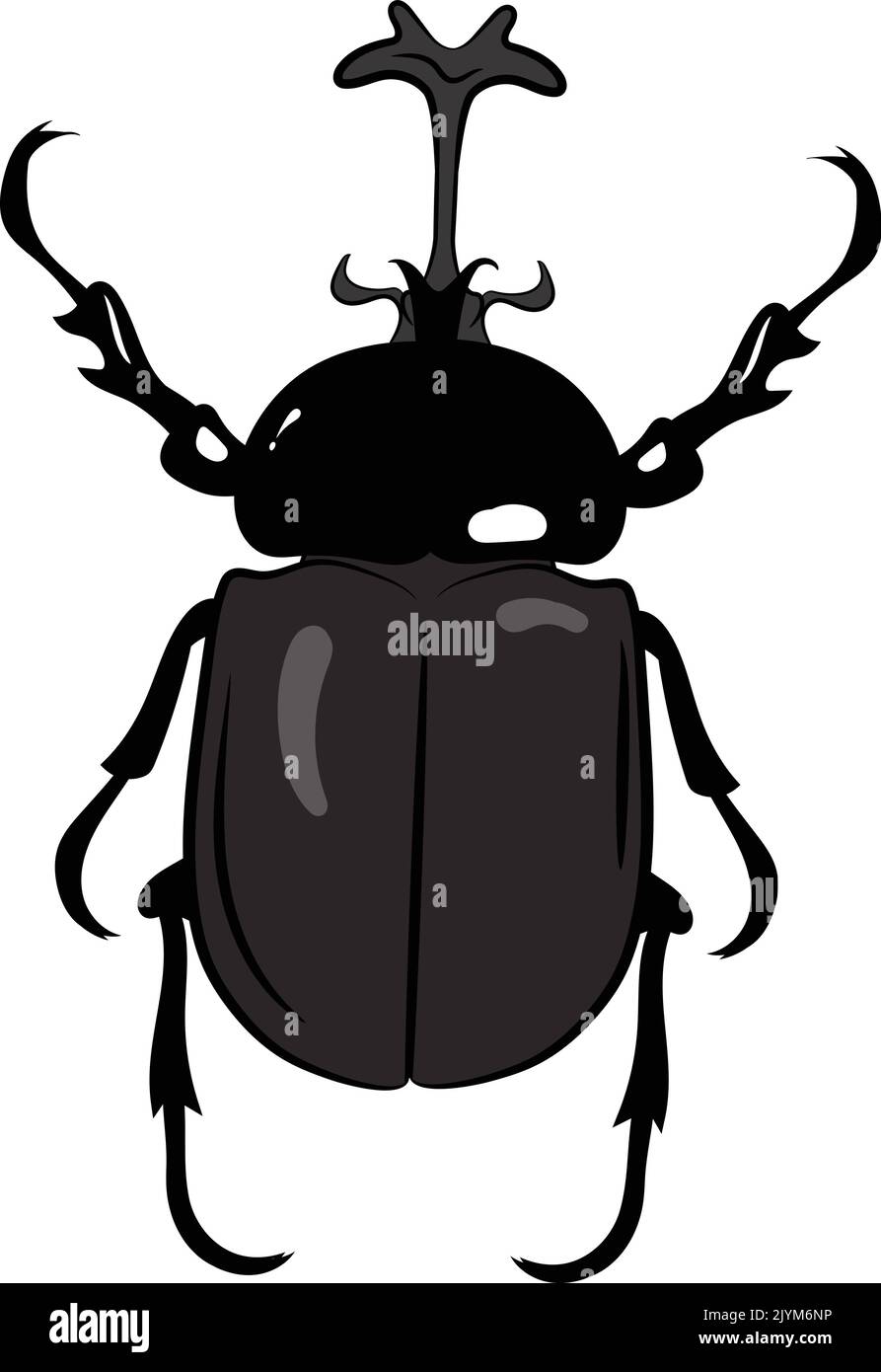Realistic Top View of Rhino Scarab or Stag Beetle Stock Vector Image ...