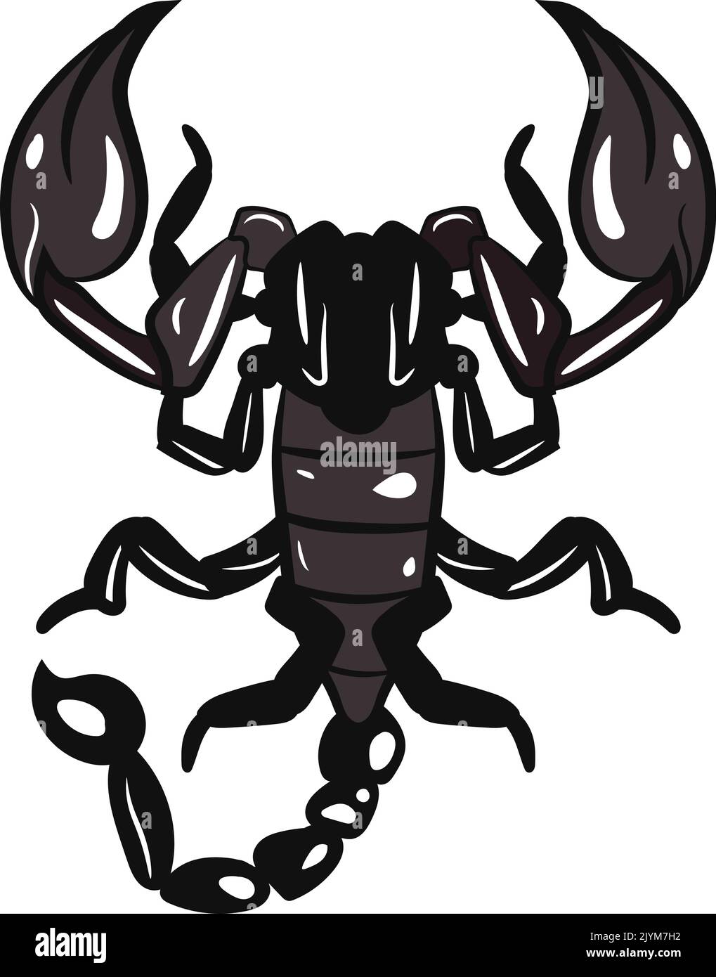 Realistic Top View of Scorpion Stock Vector Image & Art - Alamy