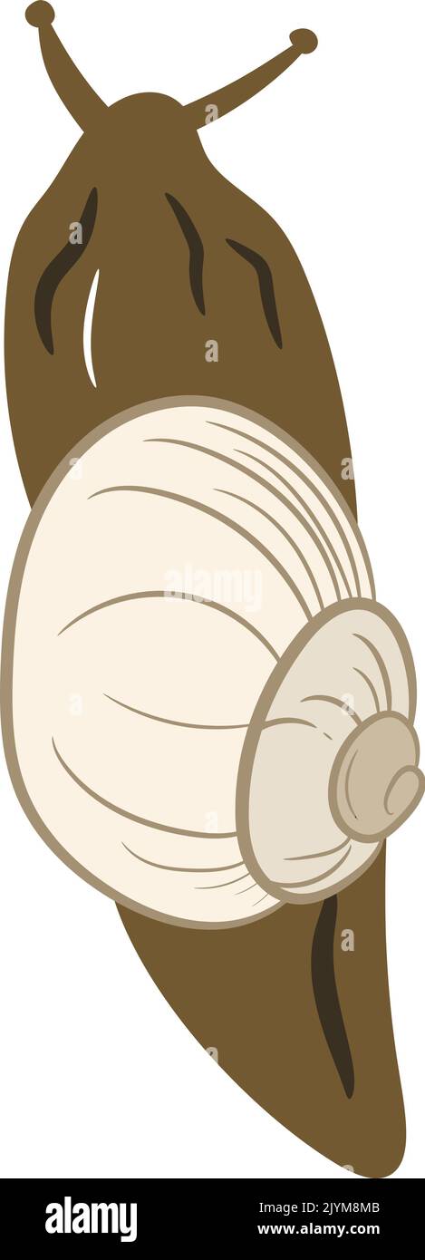 Snail Insect 2d Illustration Clipart. Shelled gastropod 2d Vector Stock ...