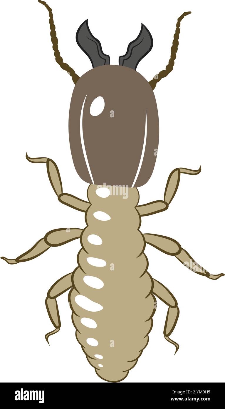 Termite 2d Vector Clipart. Insects Bugs Worms Pest and Flies Isolated ...