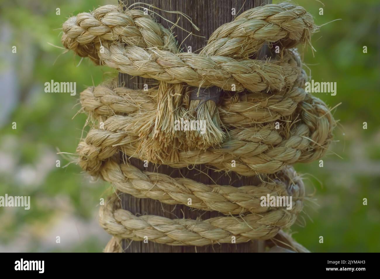 Close up photo of a natural rope wrapped around the wooden column ...