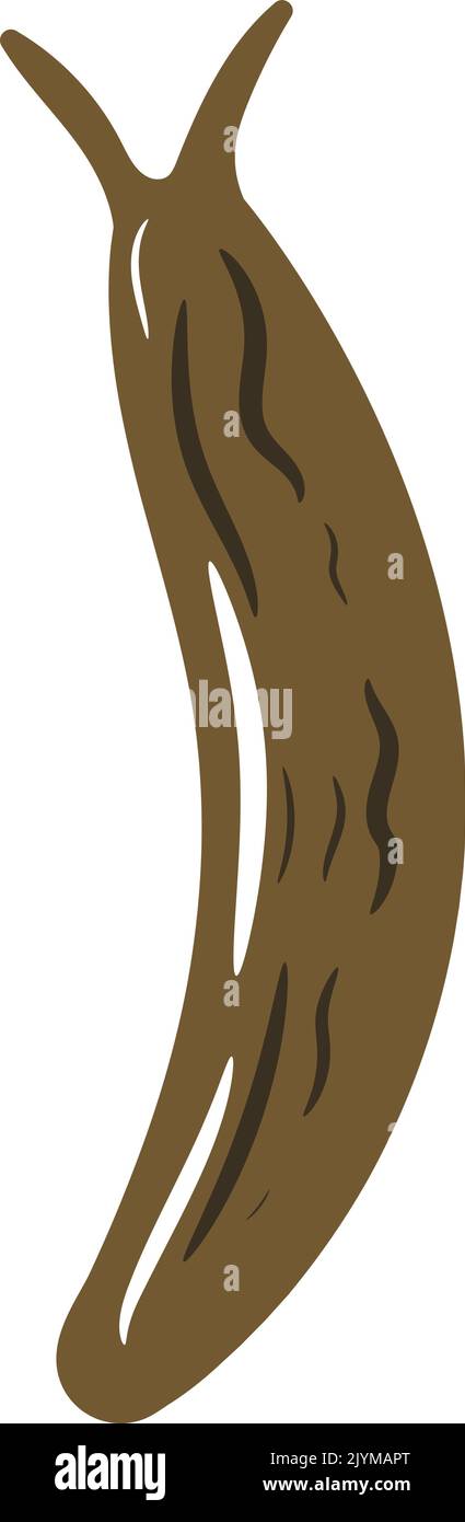 Realistic Top View of Land Slug Stock Vector Image & Art - Alamy