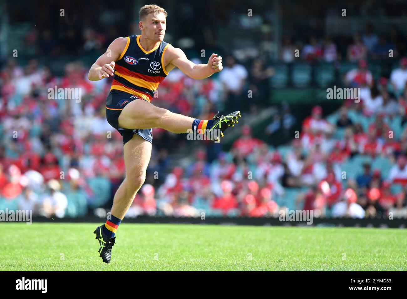 Rory Laird of the Crows during the Round 2 AFL match between the Sydney ...