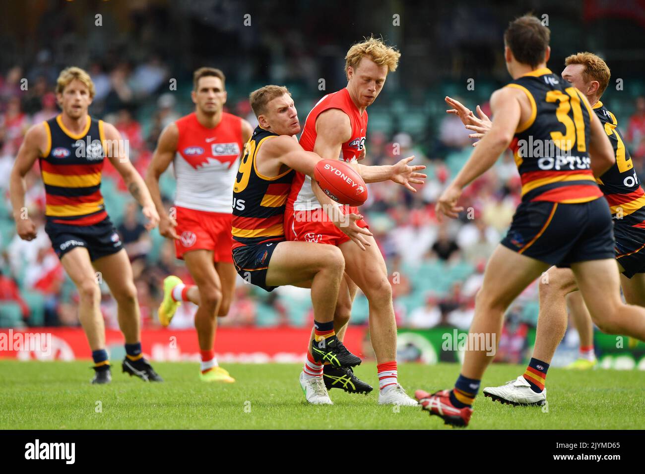 Rory Laird of the Crows tackles Callum Mills of the Swans during the ...