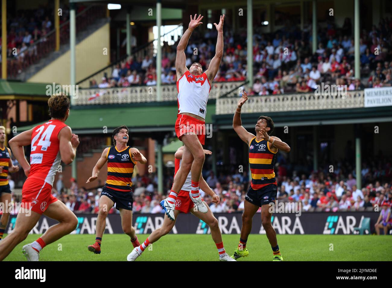 Tom McCartin of the Swans during the Round 2 AFL match between the ...